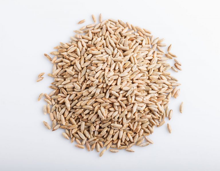 Centeno: propiedades, beneficios y contraindicaciones - SALA DE PRENSA