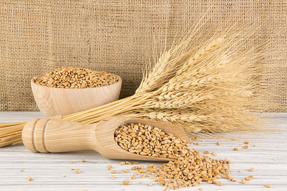 Centeno: propiedades, beneficios y contraindicaciones - SALA DE PRENSA