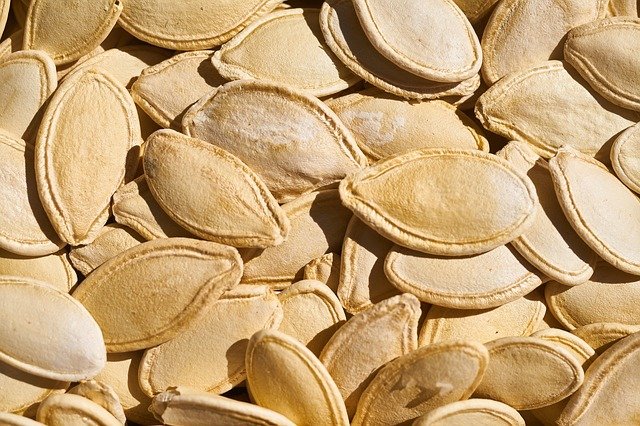 Pipas de calabaza: propiedades, beneficios y contraindicaciones - SALA ...