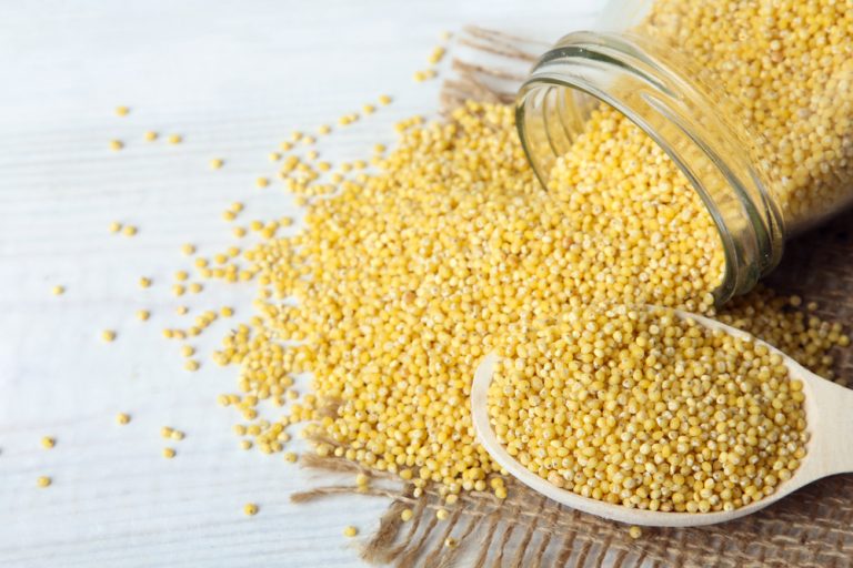 Mijo - Conoce sus propiedades, beneficios y contraindicaciones - SALA ...