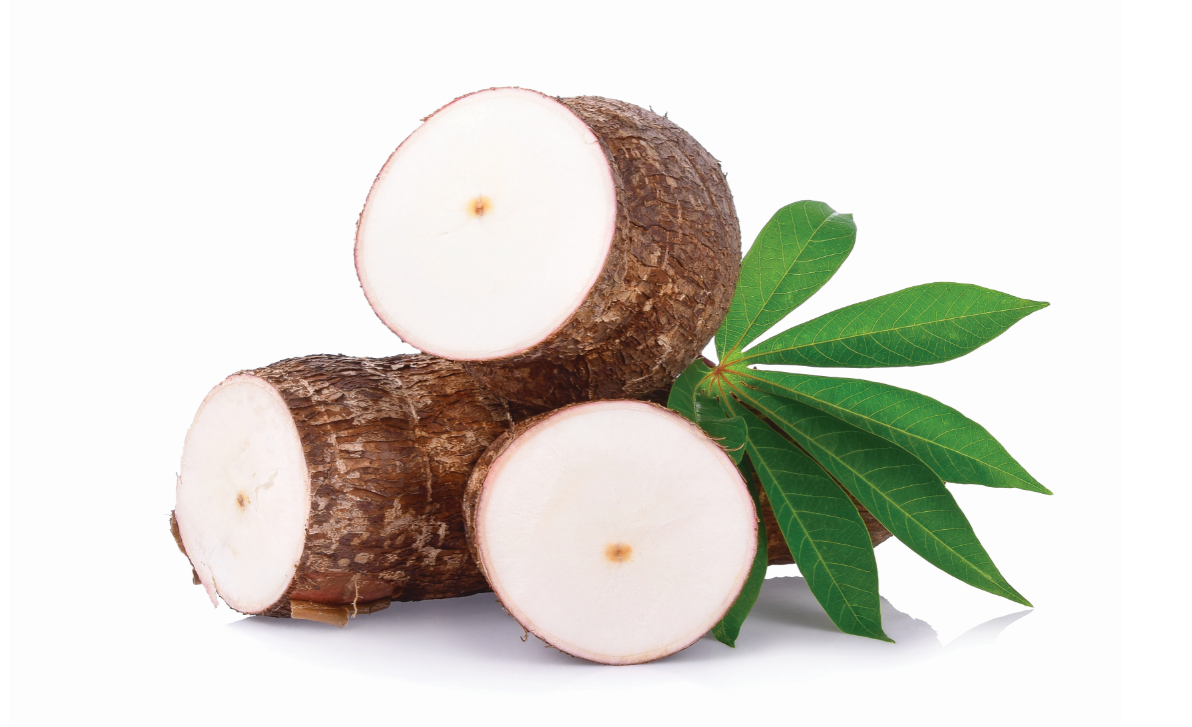 Yuca o Mandioca: propiedades, beneficios y contraindicaciones - SALA DE ...